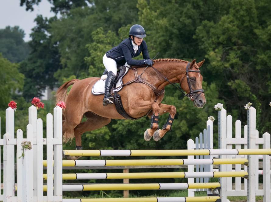 Service-Plus – GlenAyre Equestrian Centre